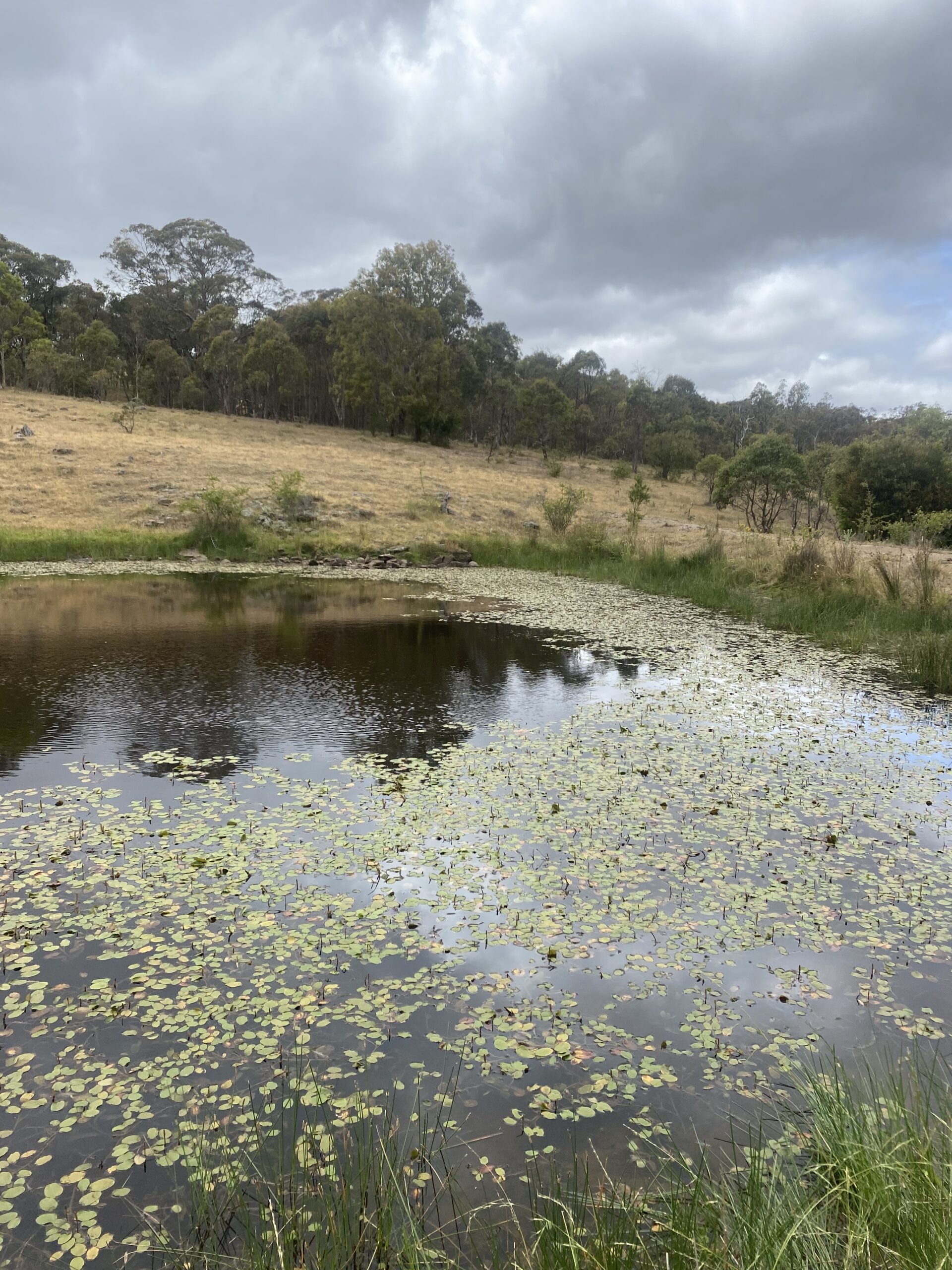 Projects – ERDP
