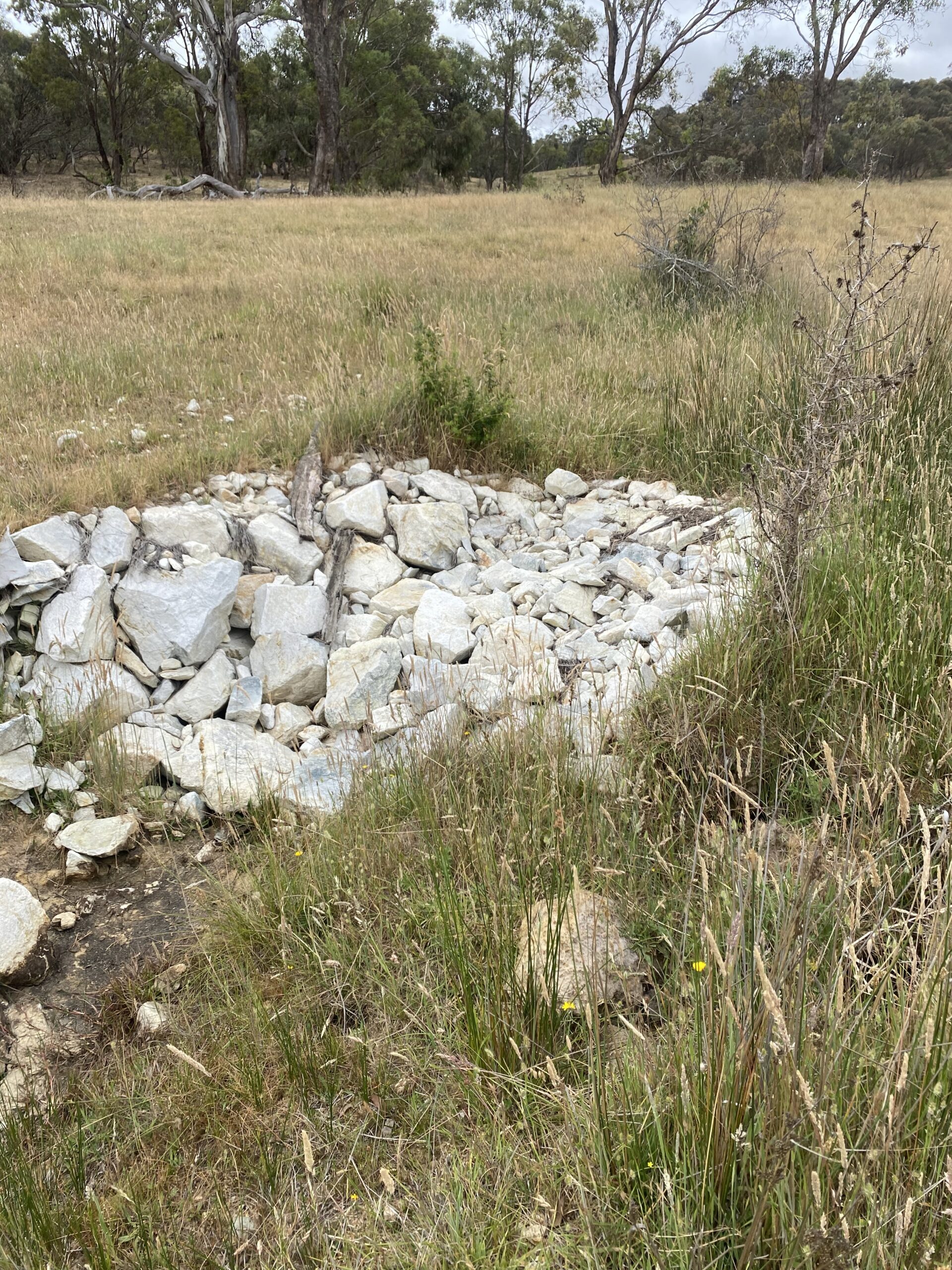 Projects – ERDP